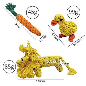 Andiker Dog Chewing Toys - 3PCS Cotton Rope Puppy Teething Cleaning and Training Durable Dog Plush Toys Lion&Carrot&Duck Toy for Boredom and Interactive Biting Rope Dog Chew Toys (Lion&Carrot&Duck)