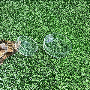 UUYYEO 3 Pcs Clear Glass Reptile Feeding Dish Food Water Bowl Feeder Bowl Cup Basin Tray Container for Small Pets Reptile