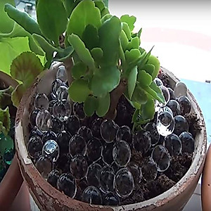 SooperBeads 20,000 Vase Filler Beads Gems Water Growing Crystal Clear Translucent Gel Pearls For Vases, Wedding Centerpiece, Floral Decoration, Plants, Kids Sensory Play Water table activities (Clear)