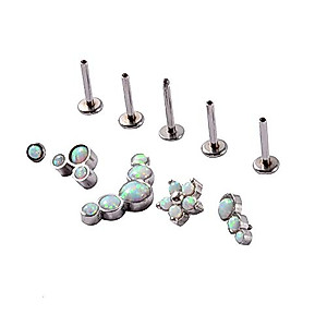 CHUANCI Set Surgical Steel 16G Opal Nose Piercing Ring Cluster Ear Tragus Helix Cartilage Septum Clicker Daith Earring Labret Piercing (Style A 6PCS/Lot)
