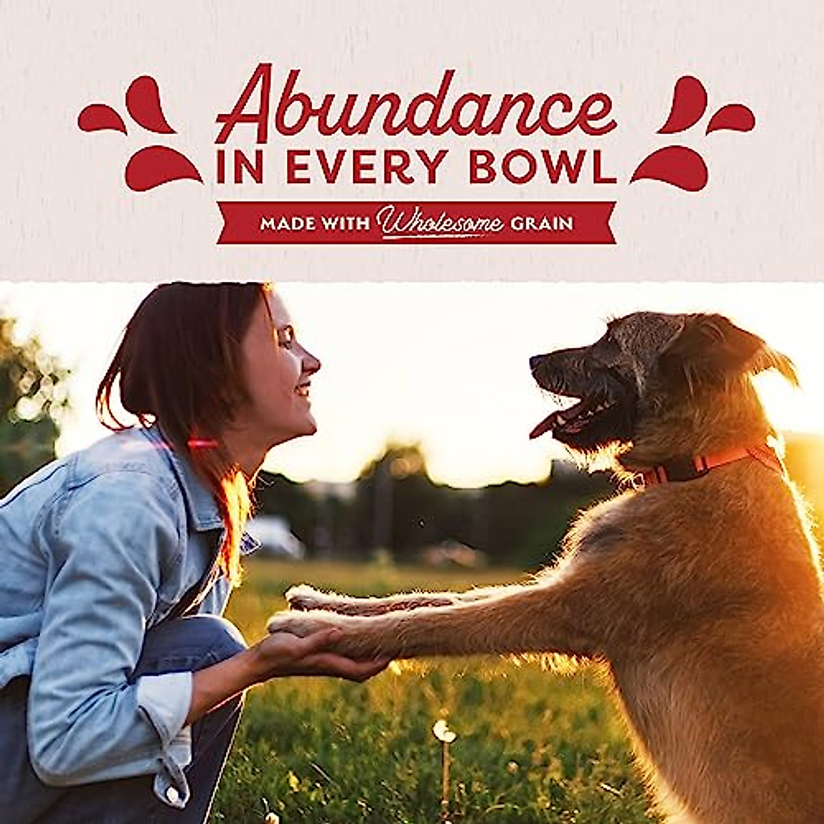 Natural Balance Ultra Premium Wet Dog Food, Beef Formula with Potatoes, Carrots & Brown Rice, 13 Ounce Can (Pack of 12)