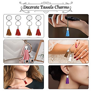 Keychain Tassels Jewelry Key Charms - 300pcs Keychain Tassels Bulk, 100pcs Key Chain Tassles, 100pcs Jump Rings, 100pcs Screw Eye Pins Hooks, Leather Tassels for Jewelry Making Crafts (Colorful)