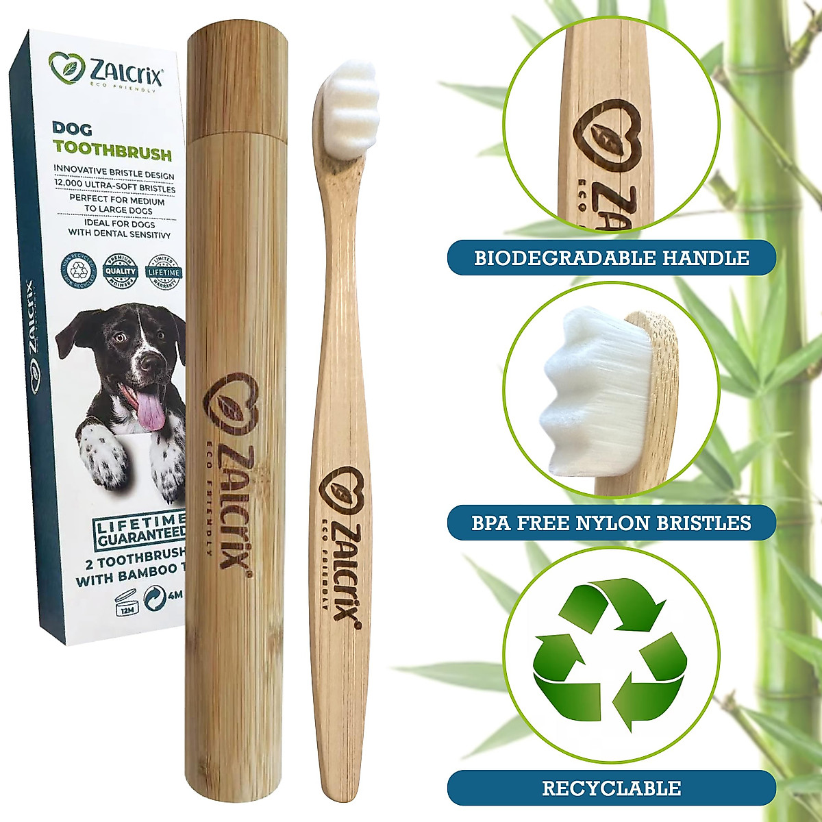 zalcrix ECO-FREINDLY Dog Toothbrush - Natural Bamboo with 12,000 Ultra-Soft Bristles for A Gentle Yet Effective Clean Ideal for Your Pet's Sensitive Teeth and Gums