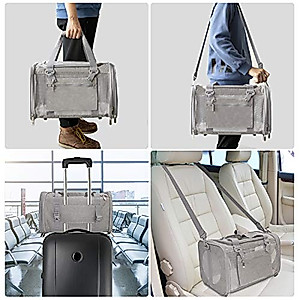 Prodigen Pet Carrier Airline Approved Pet Carrier Dog Carriers for Small Dogs, Cat Carriers for Small Cats Medium Cats, Small Pet Carrier Small Dog Carrier Cat Pet Travel Carrier -Gray,M