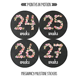 Months In Motion Pregnancy Weekly Belly Growth Stickers - Week to Week Pregnant Expecting Photo Prop - Maternity Keepsake - Baby Bump - Large Set of 36 Weekly Photo Sticker