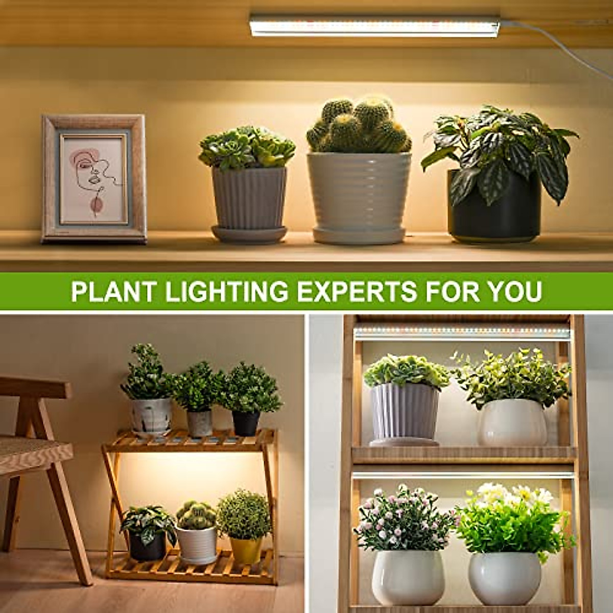 FOXGARDEN Grow Light Strip for Indoor Plants, Full Spectrum 192 LED Bright Grow Lamp with Auto On/Off Timer 4/8/12H, 10 Dimmable Brightness, 2 Packs