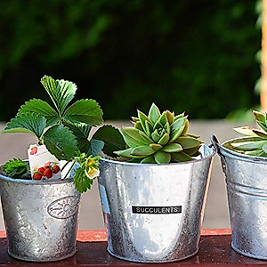 Suminey Embossing Tape Replacement for Dymo 3D Plastic Embossing Labels 1741670 for Embossing Label Maker, White on Black, 3/8'' x 9.8' for Organizer Xpress, Office Matte II, Motex, 5-roll Pack