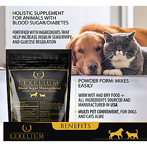 Blood Sugar Management for Diabetic Dogs and Cats- Vet-Formulated Powder Formula -Supports & Regulates Healthy Blood Sugar Levels- Supplements Insulin Sensititivity & Glucose- Made in The USA -200g