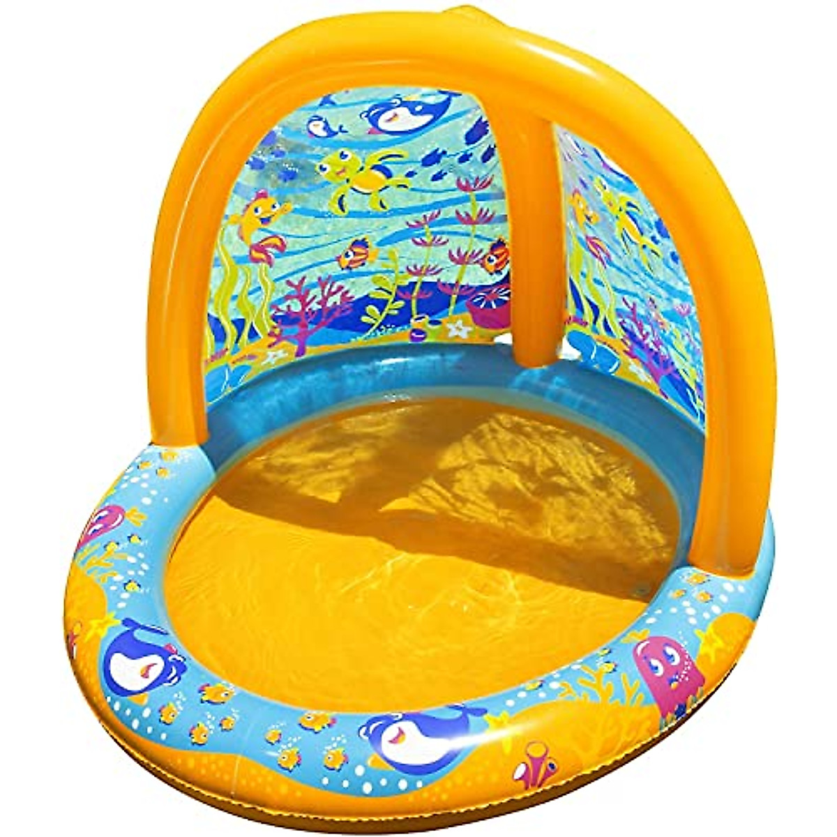 BANZAI Ocean Discovery Pool