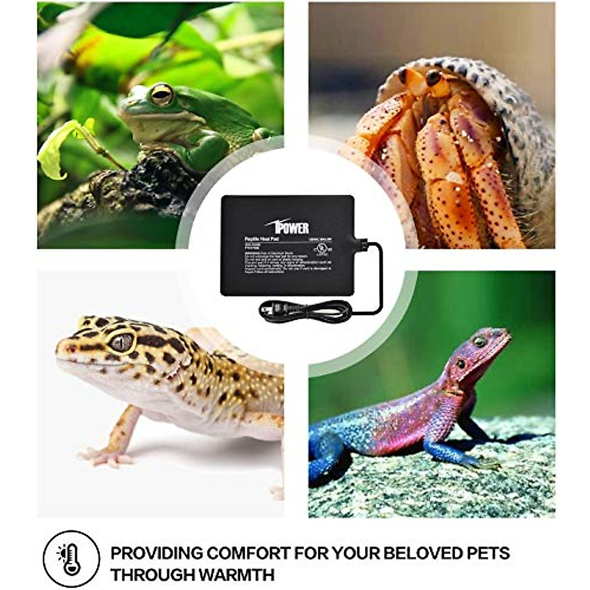 iPower PTHTPDCTRLV2HTPDM 6"x8" Reptile Heating Pad Under Tank Terrarium Heat Mat with Digital Thermostat Temperature Controller for Small Animals