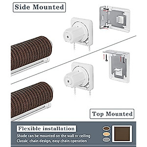 CICADA SPEECH Outdoor Roller Shade Roll Up Shade Cloth Patio Blinds for Deck Porch Balcony Backyard (8' W X 6' L), Coffee…