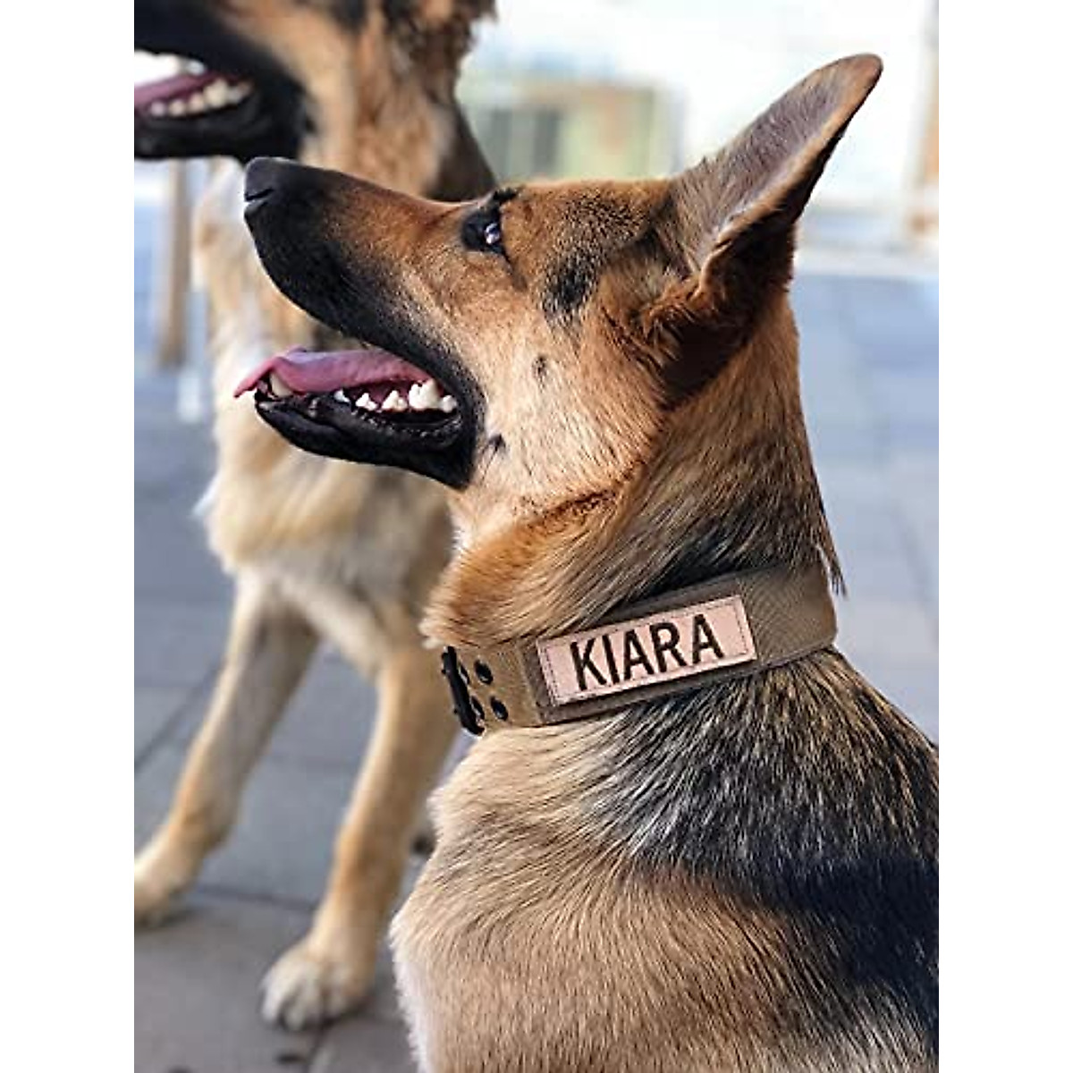 JiePai Military Dog Collar Adjustable Nylon k9 Tactical Dog Collar with D-Ring & Buckle Collars for Medium Large Dogs (Ranger Green,L)