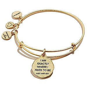 Alex and Ani Path of Symbols Expandable Bangle for Women, Path of Life Embossed Charm, Rafaelian Gold Finish, 2 to 3.5 In