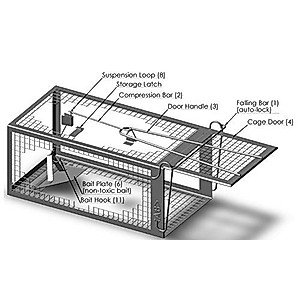 AB Traps Quality Live Animal Humane Trap Catch and Release Rats Mouse Mice Rodents Cage - Voles Squirrel and Similar Sized Pets Safe and Effective | Size Small