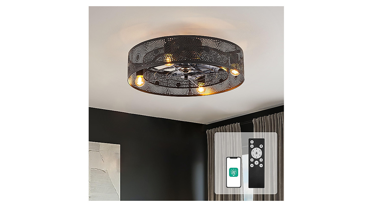 Orison 20 Inch Caged Ceiling Fan with Light, Black, 6 Speeds, Timer ...