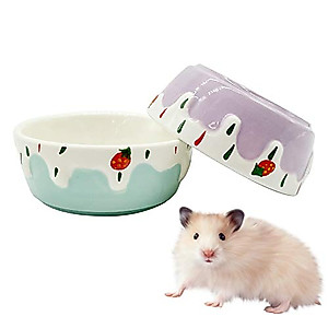 Hamster Food Bowl,Small Animals Ceramic Food Water Bowl Prevent Tipping Moving for Guinea Pig Rabbit Gerbil Chinchilla Hedgehog Rat (2 Pack) (- Color: Purple + Blue)
