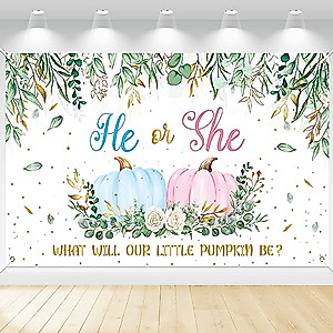 ANGOLIO Fall Pumpkin Blue Pink Gender Reveal Backdrop He or She Autumn Eucalyptus Leaves Fall Baby Shower Gender Reveal Party Photography Background Decoration(Xtralarge)