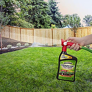 Spectracide Triazicide Insect Killer for Lawns, 40 Oz