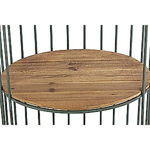 IMAX 47489 Charlotte Birdcage Shelf