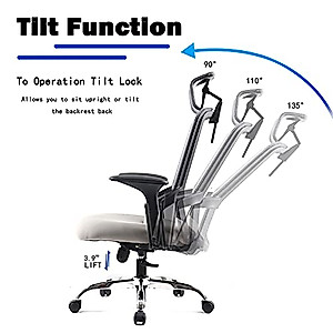Ergonomic Mesh Office Chair,High Back Desk Computer Chair Adjustable Neck Head,Armrest Reclining Chair for Home Office (Grey1)