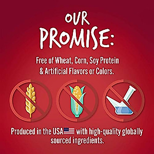 Fruitables Biggies Dog Biscuits – Crunchy Dog Biscuits Made with Pumpkin – Healthy Dog Treats Packed with Real Fruit Flavor – Free of Wheat, Corn and Soy – Crispy Bacon & Apple – 16 oz