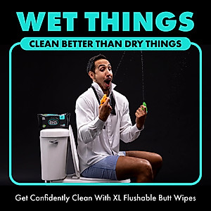 DUDE Wipes Flushable Wipes - 6 Pack, 288 Wipes - Mint Chill Extra-Large Wet Wipes with Eucalyptus & Tea Tree Oil - Septic and Sewer Safe