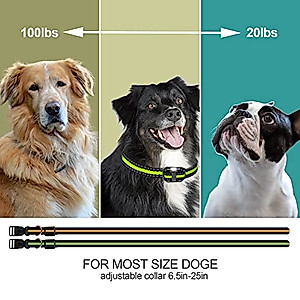 Heaflex Electric Dog Training Collar with Remote 1640FT, E-Shock, Safe Training Modes, Rechargeable IP67 Waterproof Collars for 2 Dogs