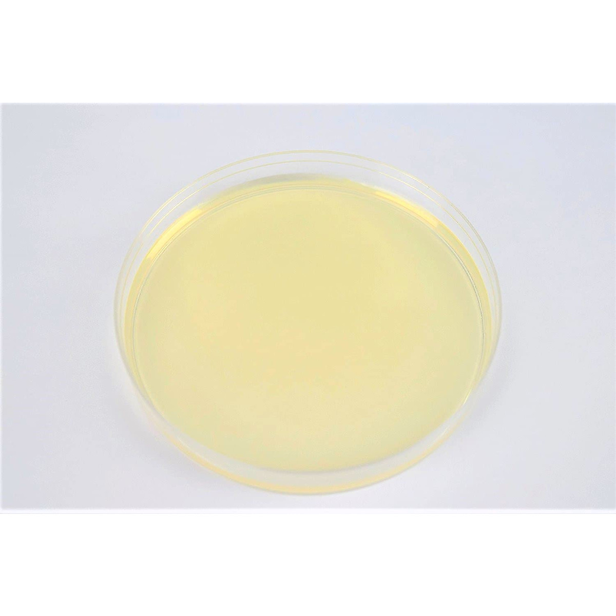 Potato Dextrose Agar (PDA) with Tartaric Acid, (10-Pack), Pre-Poured, 15x100mm Petri Plates. Great for Mushroom Cultivation. for The Isolation of Yeasts and Molds.