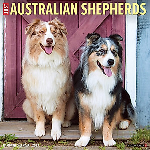 Just Australian Shepherds 2023 Wall Calendar