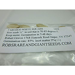 1292-Mexican White Squash (Calabacitas) Seeds by Robsrareandgiantseeds UPC0764425789925 Non-GMO,Organic,USA Grower,Bonsai,Showy,Container,Trellis,Hanging Basket,1292 Package of 7 Seeds