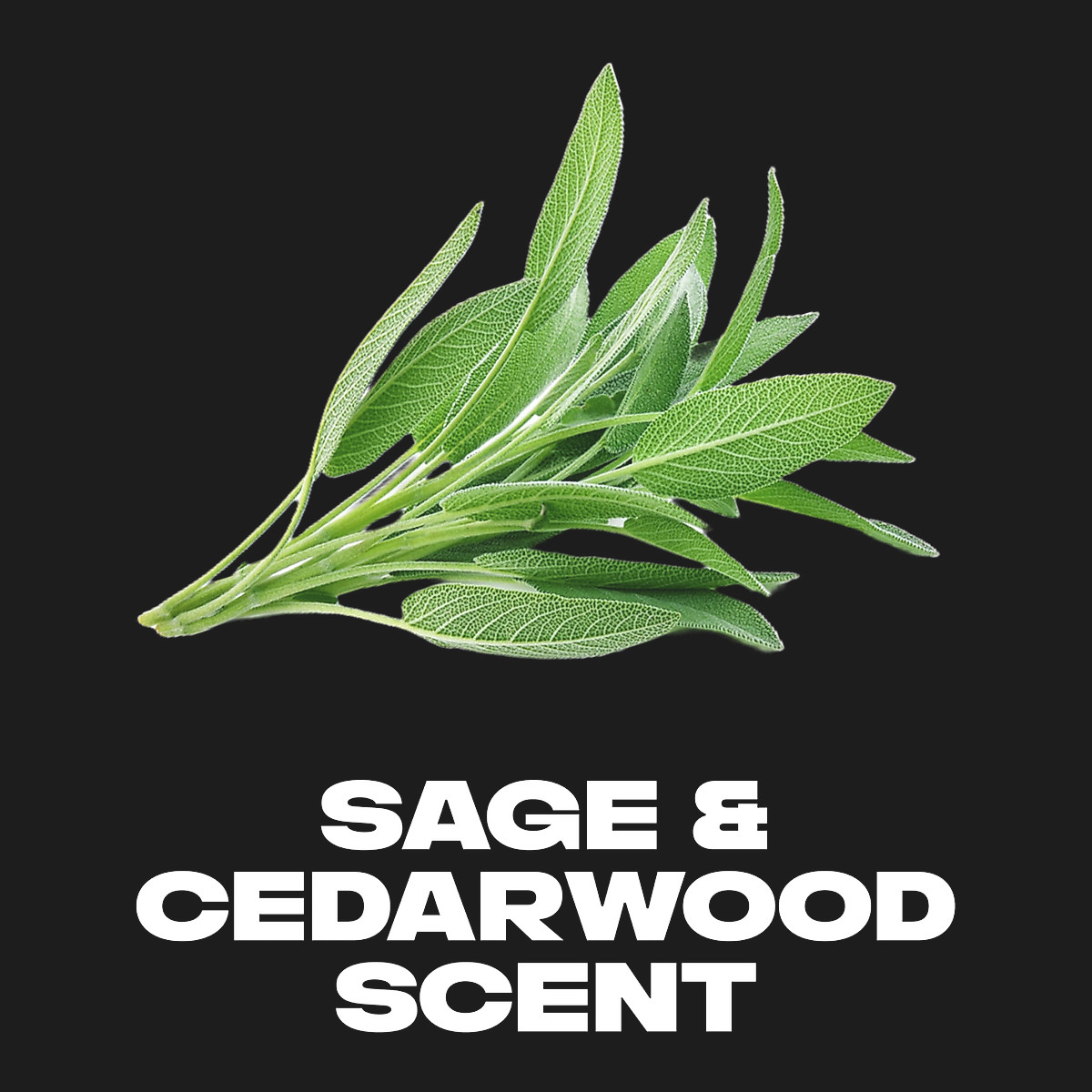 AXE Apollo Body Spray Deodorant Sage & Cedarwood for Long-Lasting Odor Protection, Deodorant for Men Formulated Without Aluminum 4.0 oz