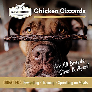 Farm Hounds - Chicken Gizzards - Premium Natural Chicken Jerky For Dogs - From 100% Humanely Raised Chicken - Break-To-Size - Great For Training & Treats - No Added Fillers - Made in USA - 4oz -1 Pack