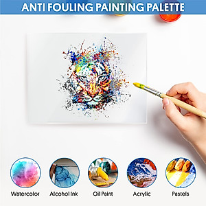 DisplayBug Plexiglass Sheets Pack of 10 Durable PET Panels for Poster & Picture Frames, Arts & Crafts Plastic Sheeting Protective Sheet Barrier Made in USA (10, 5X7)