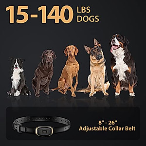 PATPET Dog Training Collar with Remote(2 Packs) - 2000FT Dog Shock Collar Include Rechargeable & IP67 Waterproof E Collar, Beep Vibration Shock Collar for Large Medium Dogs(15-140 lbs)