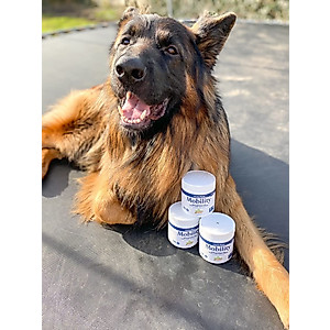 Lively Paws™ Mobility 10 Hip & Joint Care Supplement for Dogs- Soft Chews with Glucosamine, MSM, Green-Lipped Mussel, Manganese, Chondroitin & Vitamin C