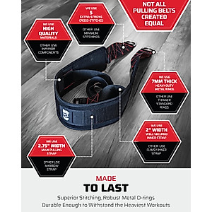 THEFITGUY Sled Pulling Belt, Adjustable Closure, 2 Sled Pulling Straps & 4 Hooks Included - for Resistance Training, Strength Training, Agility, Pulling Backwards, Front and Sides