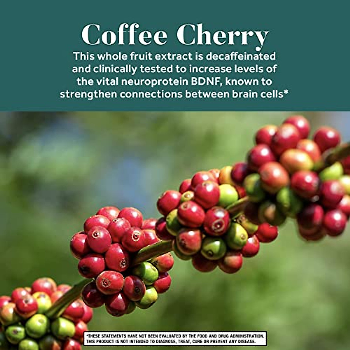 NEURIVA Destress Brain Supplement for Focus, Concentration & Accuracy with L-Theanine for Relaxation & Everyday Stress Reduction and Melon Concentrate to Help Fight Oxidative Stress, 30ct Capsules