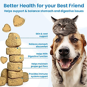 Bighero Probiotics for Dogs - Dog Probiotics for Gut Health & Digestive Health, Support Immune System, Diarrhea & Seasonal Allergies, Dog Supplement with Prebiotics & Digestive Enzymes, 180 Soft Chews