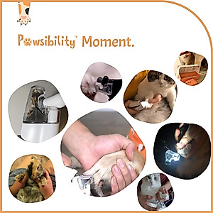Pawsibility - Reinvented Pet Nail Clippers for Your Pal - USB Rechargeable LED Light for Bloodline | Razor Sharp and Durable Blade | Vets Recommended Trimming Tool for Dogs and Cats - Pink