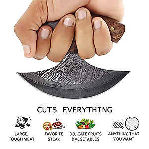 Hercules Knives Custom San Mai Damascus Steel Traditional Alaskan Ulu Knife Multi-Purpose Pizza Cutter, Vegetable Chopping, Boning Slicing Cutting Walnut Handle Leather Sheath (UL-05)