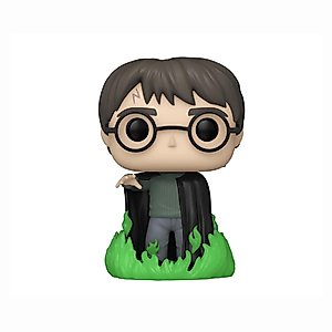Harry Potter Funko POP | Harry Potter with GITD Floo Powder Exclusive