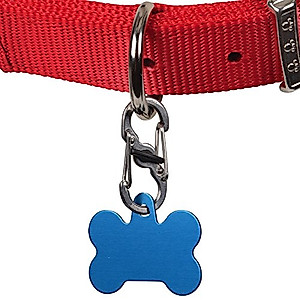 Nite Ize S-Biner TagLock Stainless Steel Locking Biner for Dog Collar (4-Pack)4