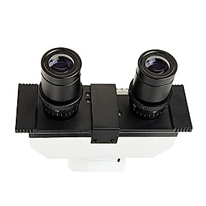 Celestron – Celestron Labs – Binocular Head Compound Microscope – 40-2000x Magnification – Adjustable Mechanical Stage – Includes 2 Eyepieces and 10 Prepared Slides