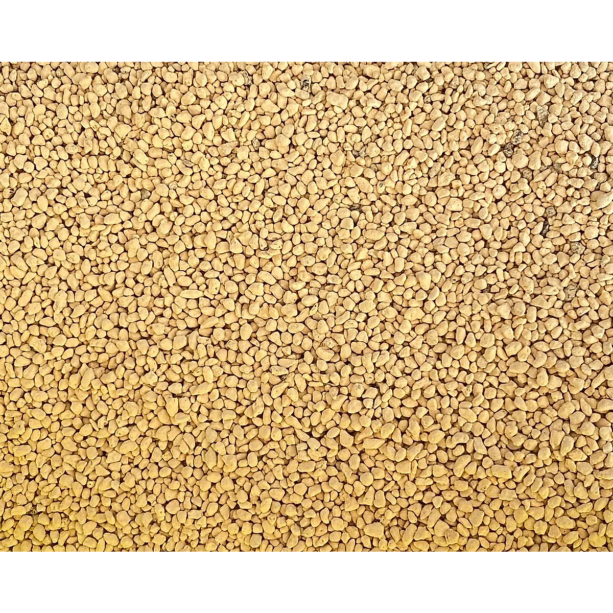 Calibonsai 2 Gal. Genuine Japanese Kanuma Soil for Bonsai & Acid Loving Plants - Shohin Grain, 2GKANUMAM