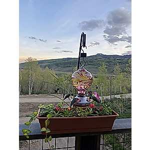 Hummingbird Feeder by Grateful Gnome - Large Hand Blown Stained Glass Feeder for Garden, Patio, Outdoors, Window with Accessories S-Hook, Ant Moat, Brush - 36fl oz, Large Purple Egg Design