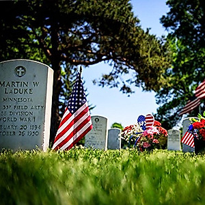 Anley LOT OF 50 - USA 4x6 in Wooden Stick Flag - July 4th Decoration, Veteran Party, Grave Marker, etc. - HandHeld American Flag with Kid Safe Golden Spear Top (Pack of 50)