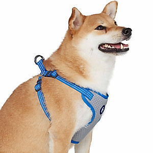 Blueberry Pet Essentials Reflective Better Basics Matching Dog Collar Leash Harness Set in French Blue, Adjustable Collar with Harness & 5 ft Leash for Medium Dogs