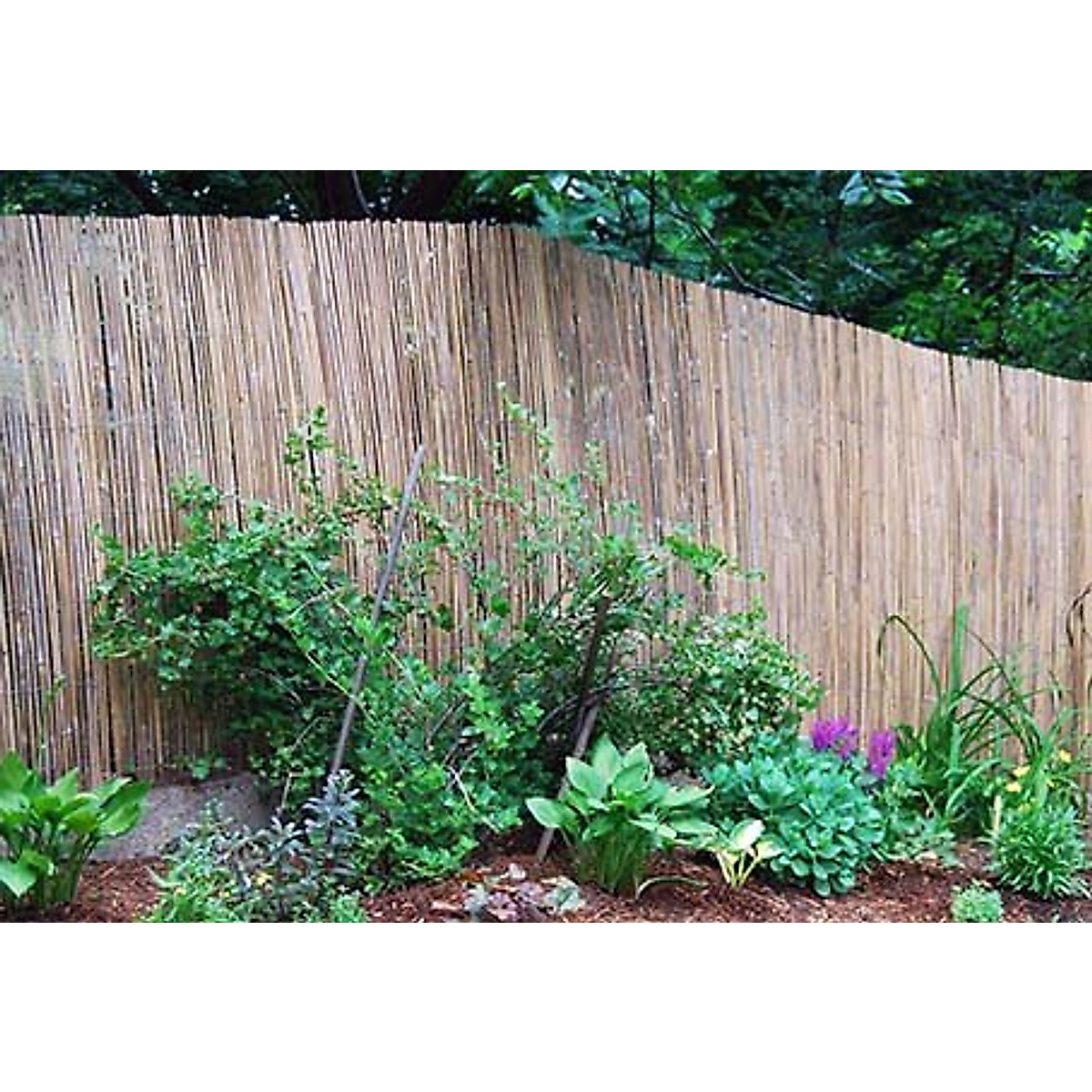 Bamboo Slat Fence, 5'H x 14'L