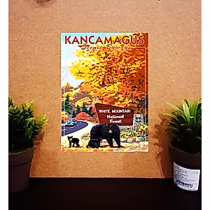 New Hampshire Nebraska State USA America Fridge Magnet SET 1 Art Souvenir Gift Vintage Retro 2x3" (Kancamagus)