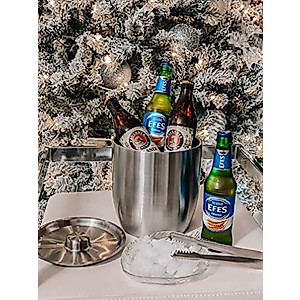 Tiken 3L Double-Wall Vacuum Insulated Ice Bucket with Lid & Tong Stainless Steel Champagne Buckets for Cocktail Bar, Parties & Outdoor